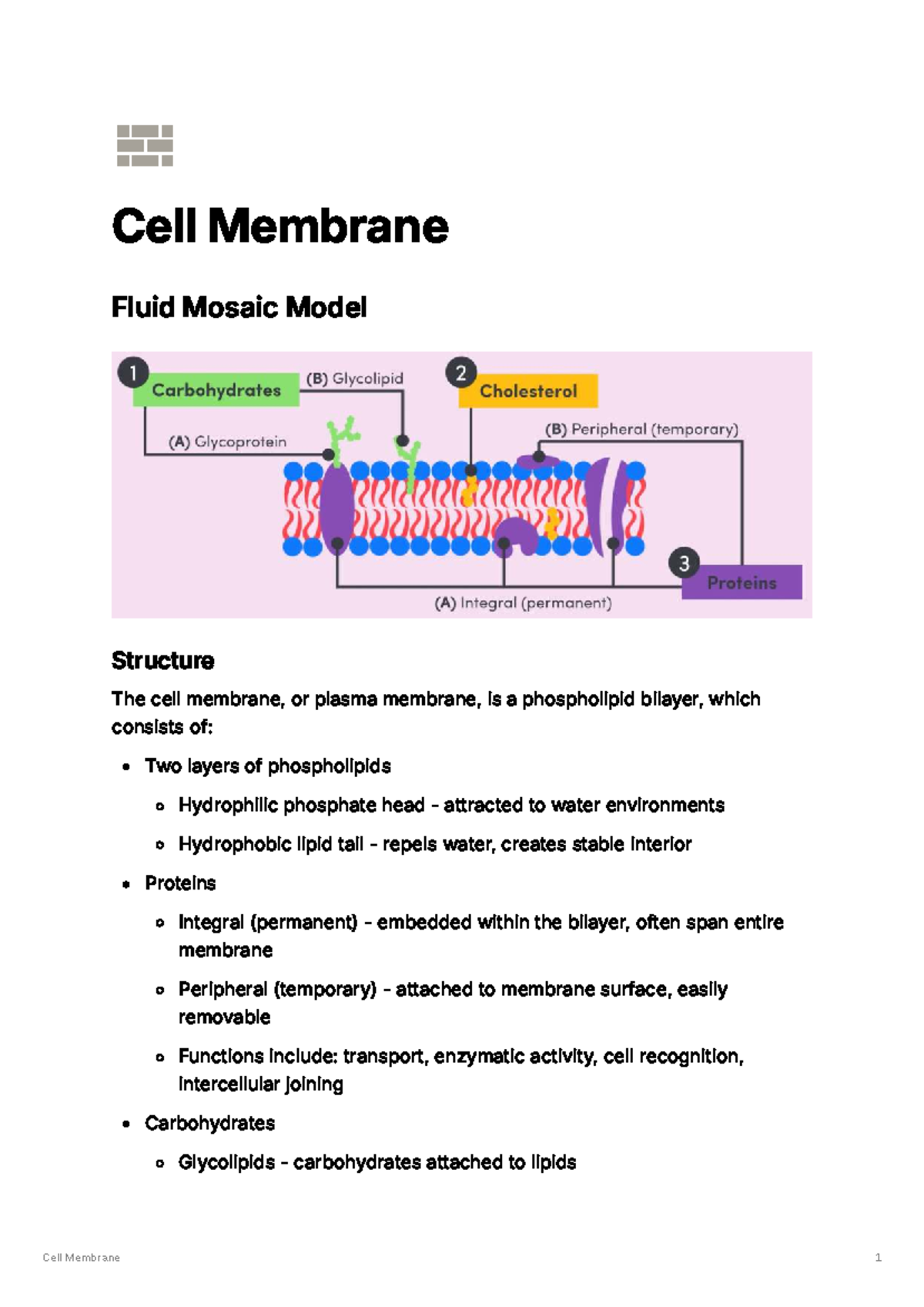 Cell Membrane Structure & Fluid Mosaic Model Notes (Bio 101) - Studocu