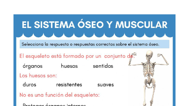 Sistema Óseo y Muscular: Respuestas Correctas y Funciones - Studocu