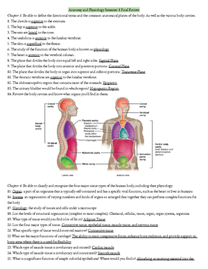 [Solved] Which list includes nerve levels and coverings from deep or ...