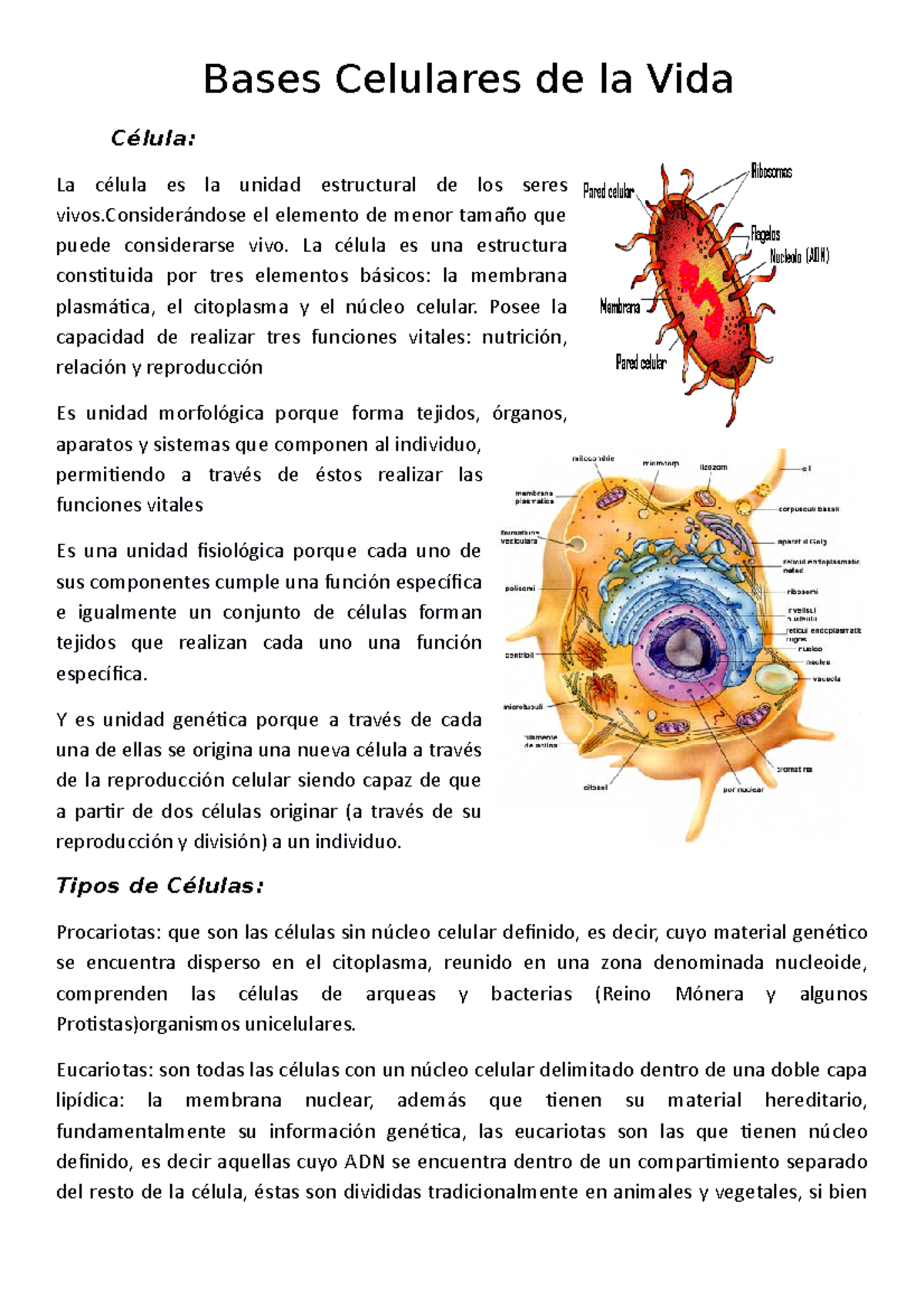 Bases celulares de la vida - Bases Celulares de la Vida Célula: La célula es la unidad ...