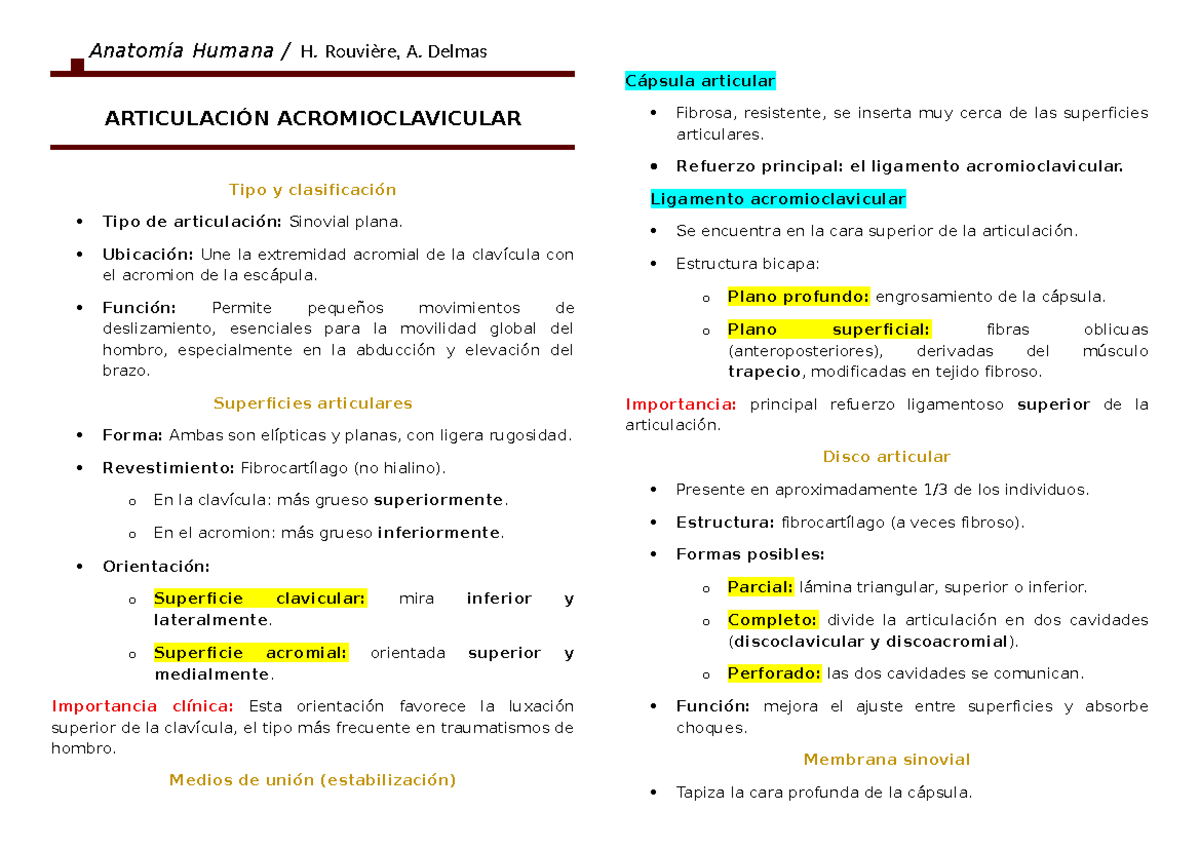Articulación Acromioclavicular y Estructura del Hombro - Anatomía ...