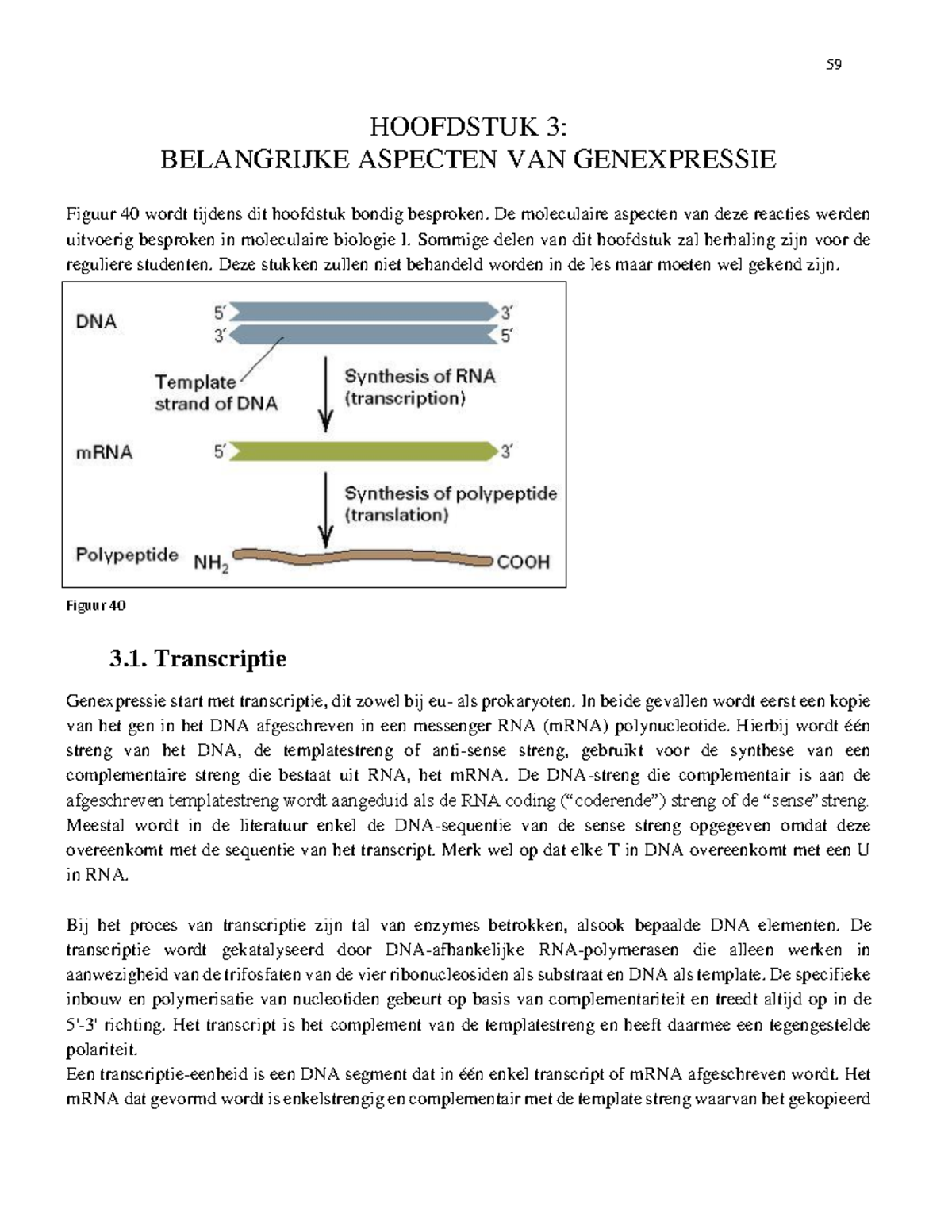 Hoofdstuk 3: Belangrijke Aspecten van Genexpressie en Transcriptie ...