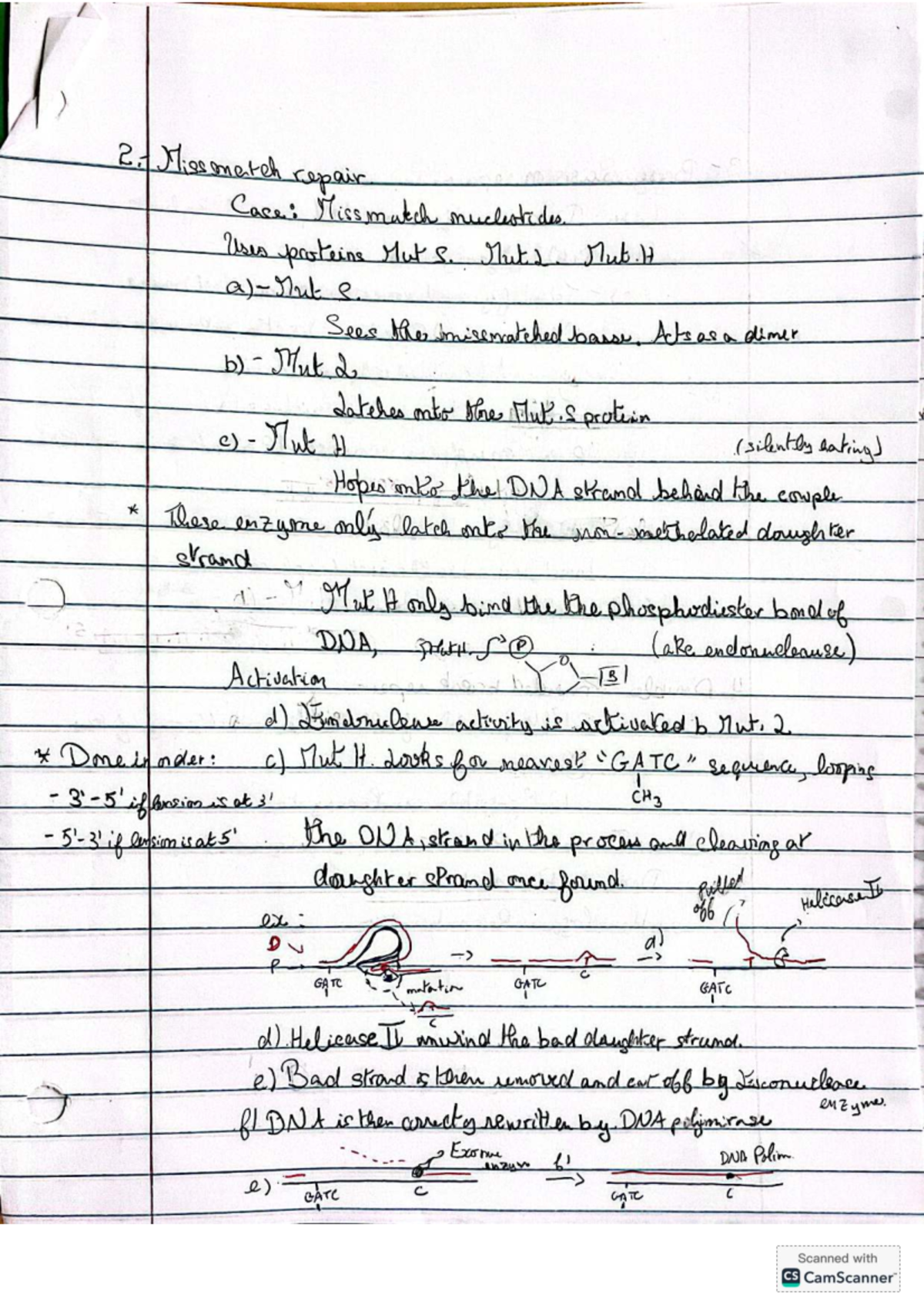 Genetics Notes 5: Key Concepts and Insights - Studocu