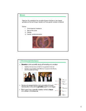 BIO 201 Final Exam Review: The Cell Cycle and Mitosis - The Cell Cycle ...