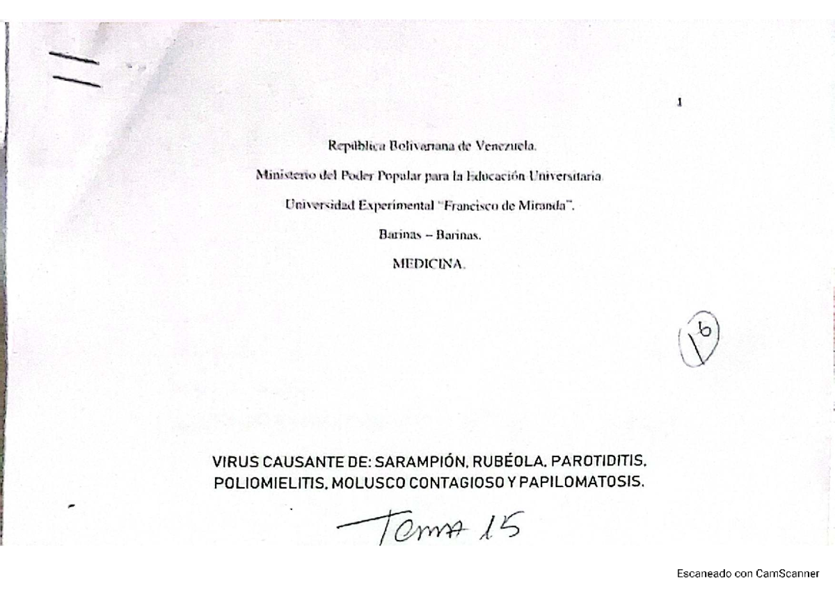 Micro 2: Guía Completa Tema 15 - Virus del Sarampión, Rubéola ...