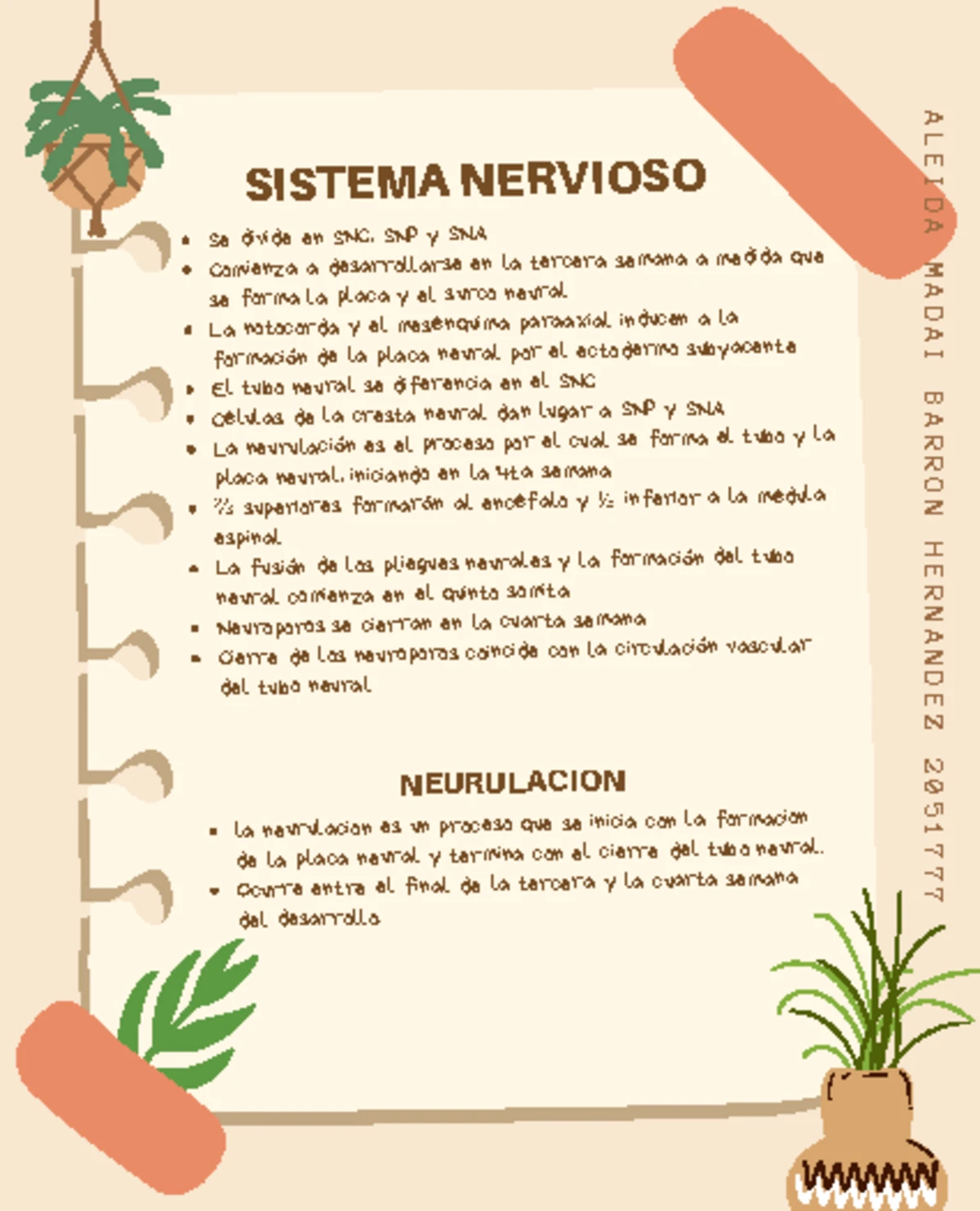 Desarrollo y Formación del Aparato Cardiovascular AMBH - Studocu