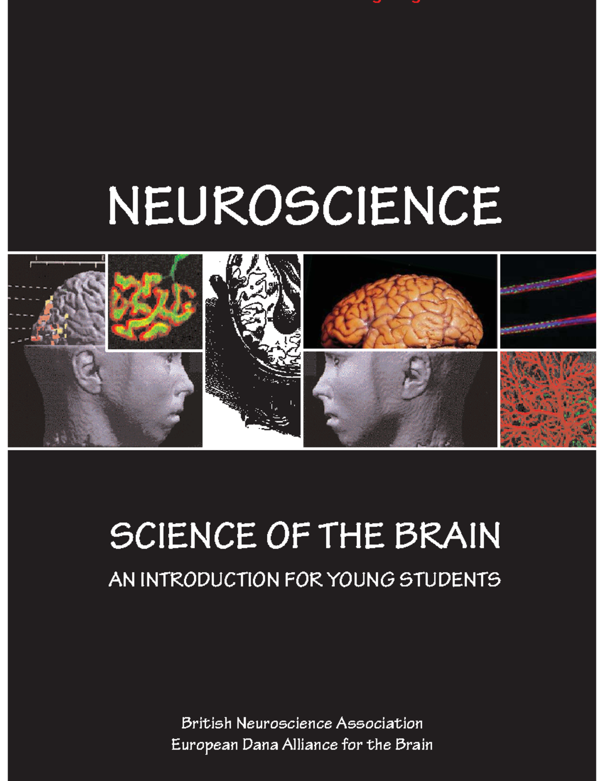 Neuroscience 101: An Introductory Guide for Young Students - Studocu