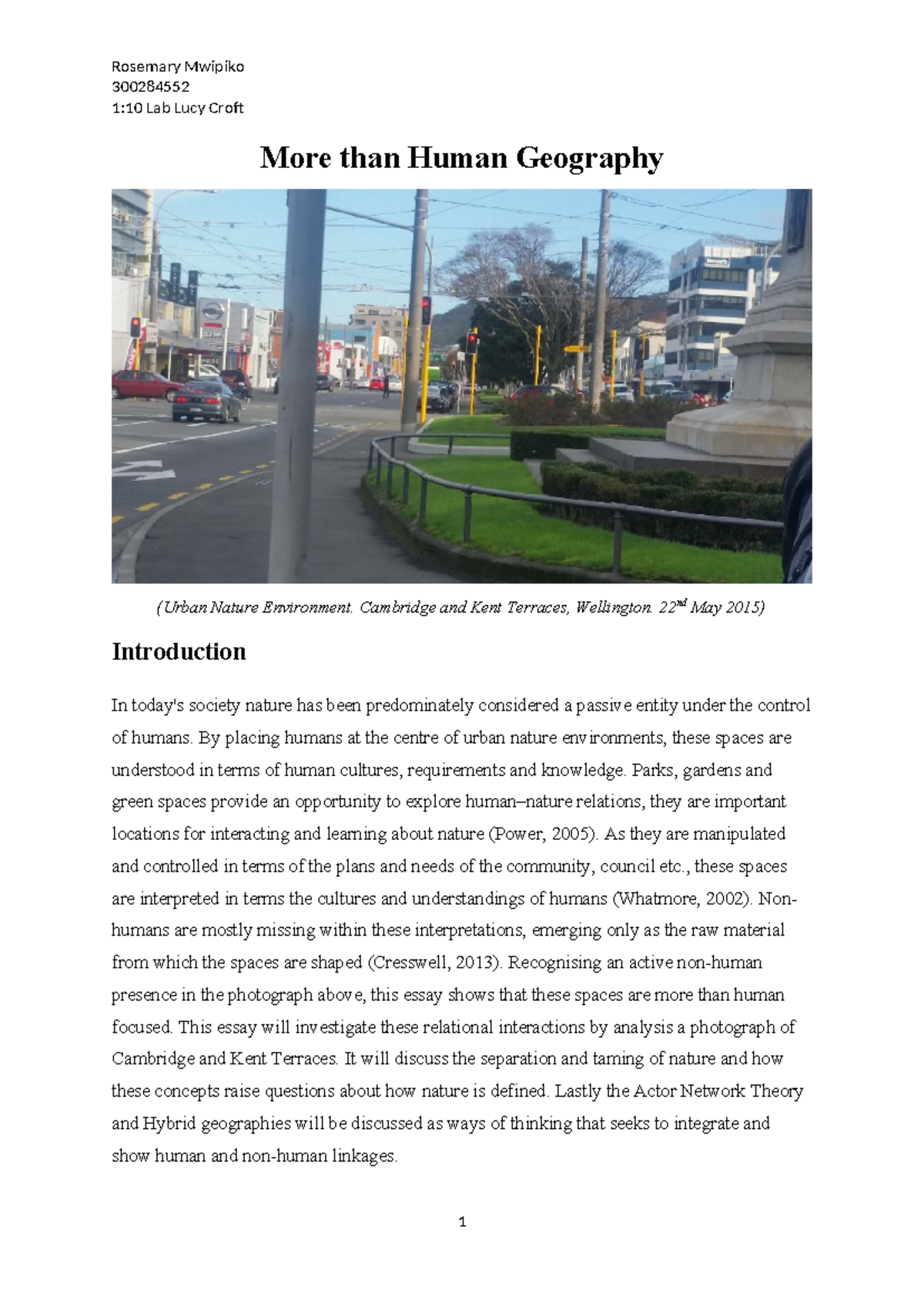 Hybrid Geographies in Urban Nature Environments - 300284552 - Studocu