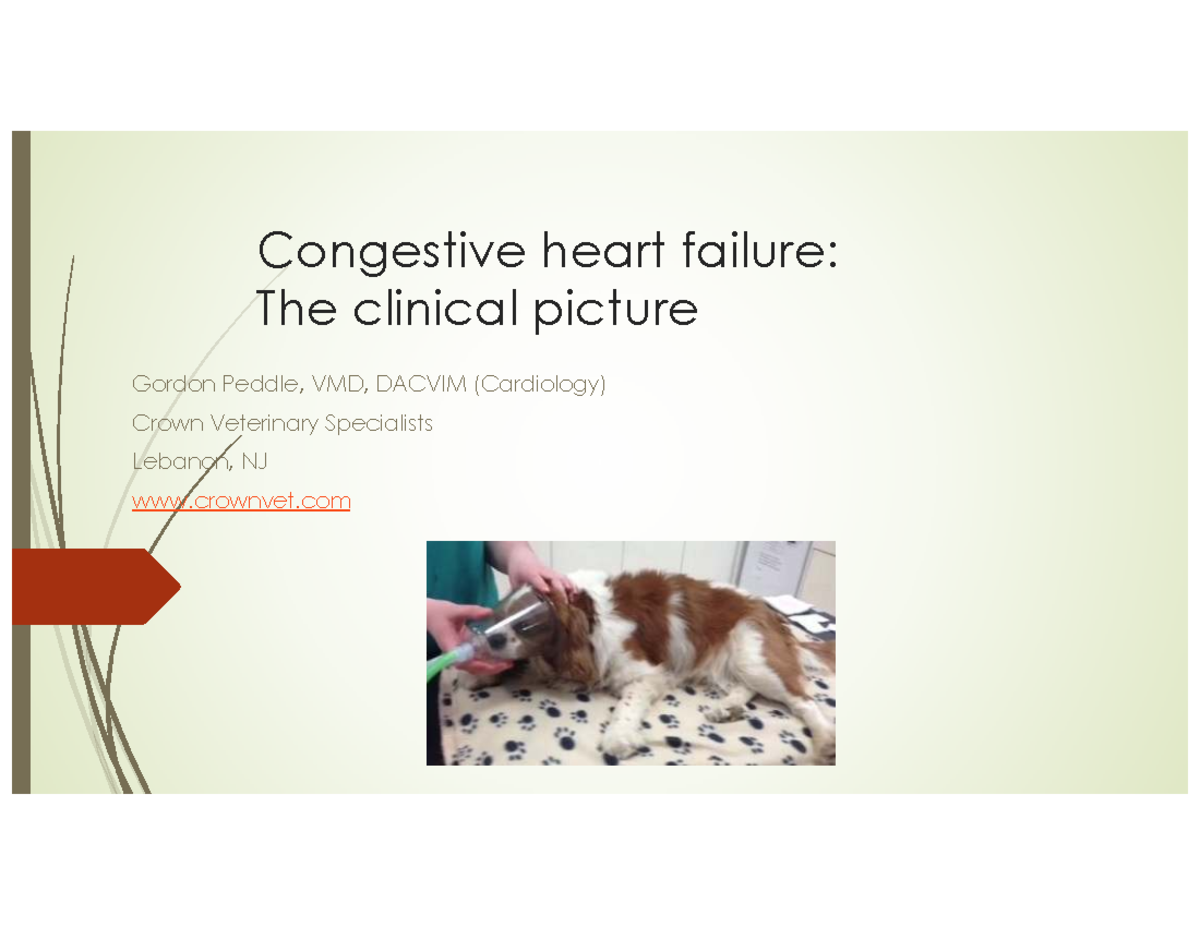 Clinical Management of Congestive Heart Failure (CHF) in Dogs and Cats ...