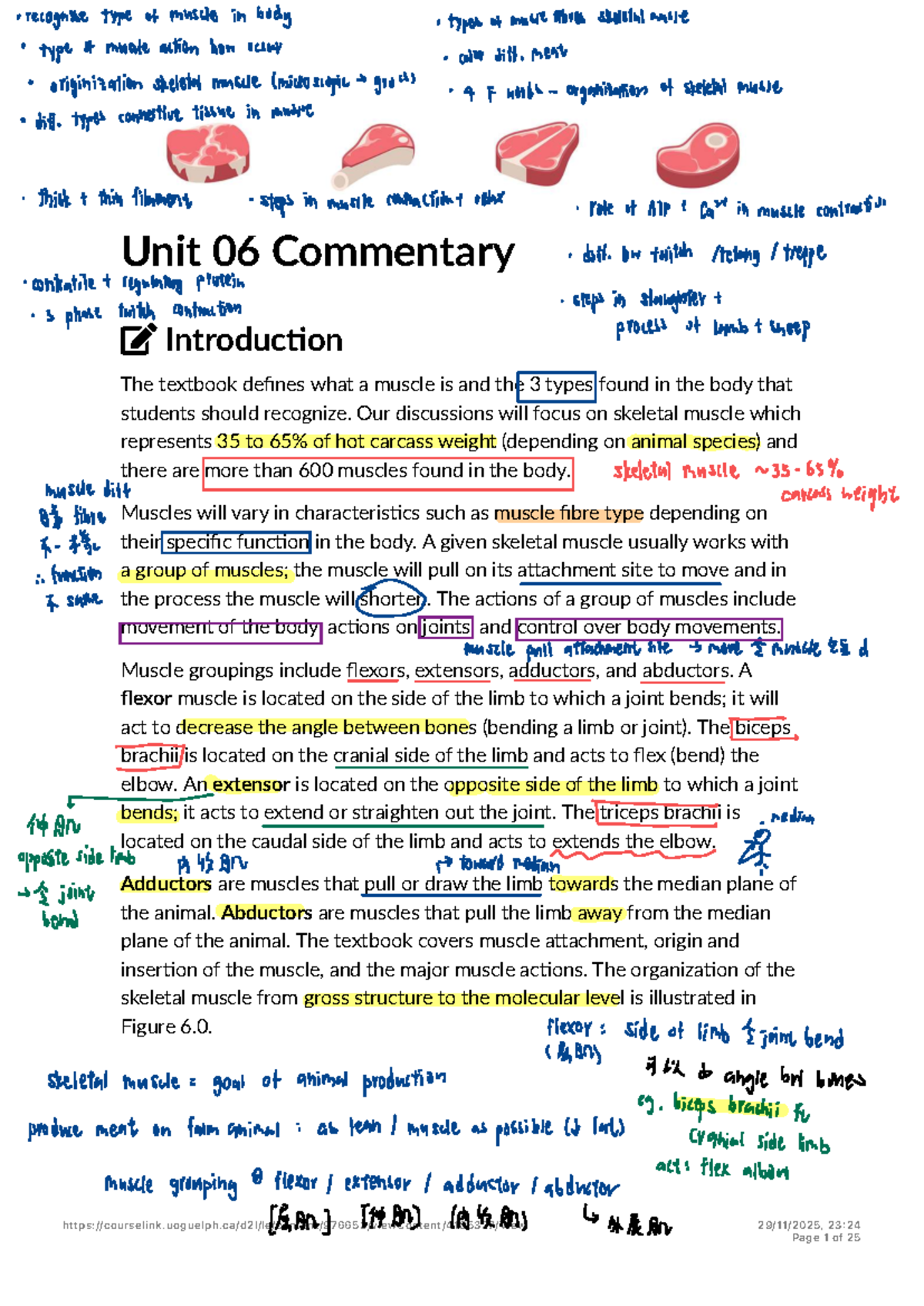 Unit 06 & 07 Notes: Understanding Muscle Types and Contraction ...