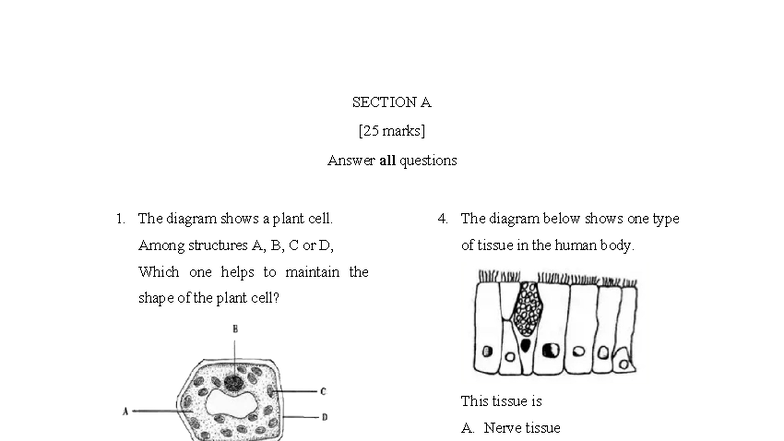 Biology 101: Plant and Animal Cell Structure Exam Questions - Studocu