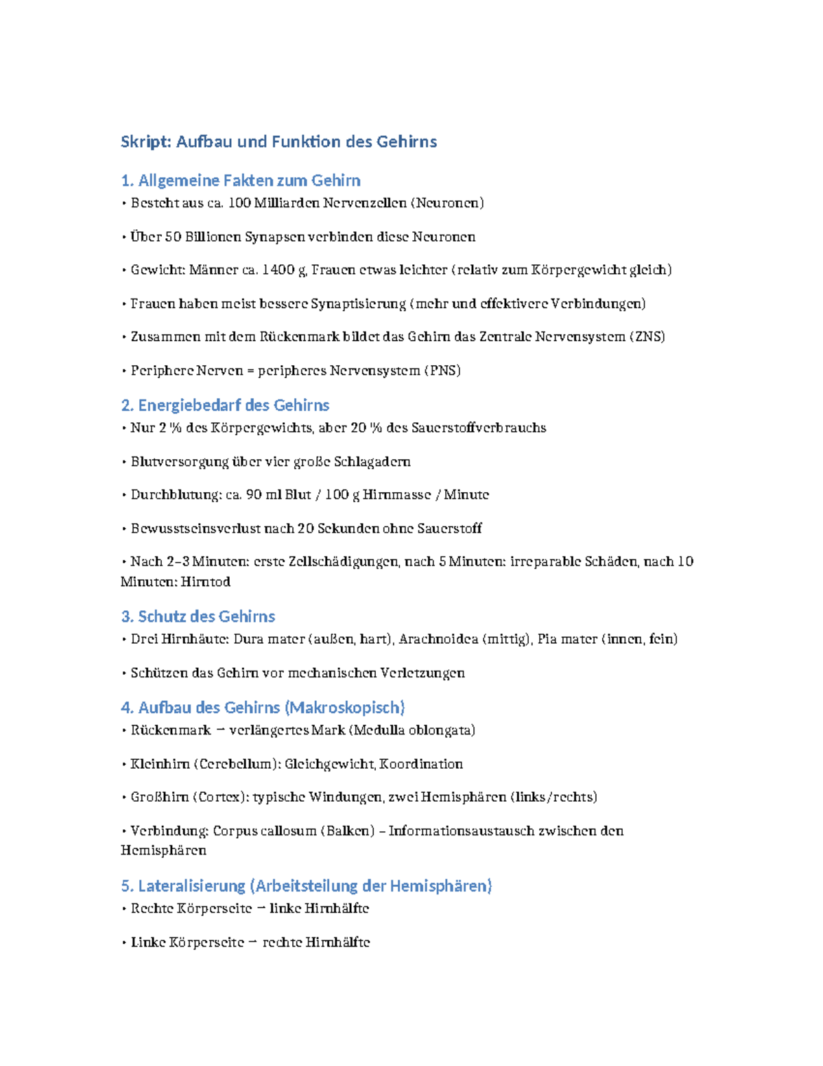 Skript: Aufbau und Funktion des Gehirns - Zentrale Nervensystem Fakten ...