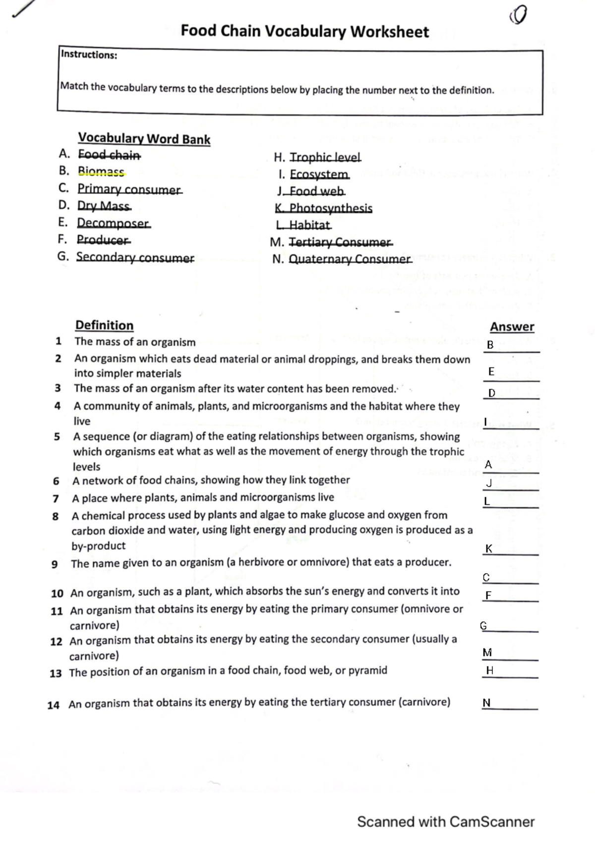 Evania Hill - food chain vocabulary packet - Food Chain Vocabulary ...
