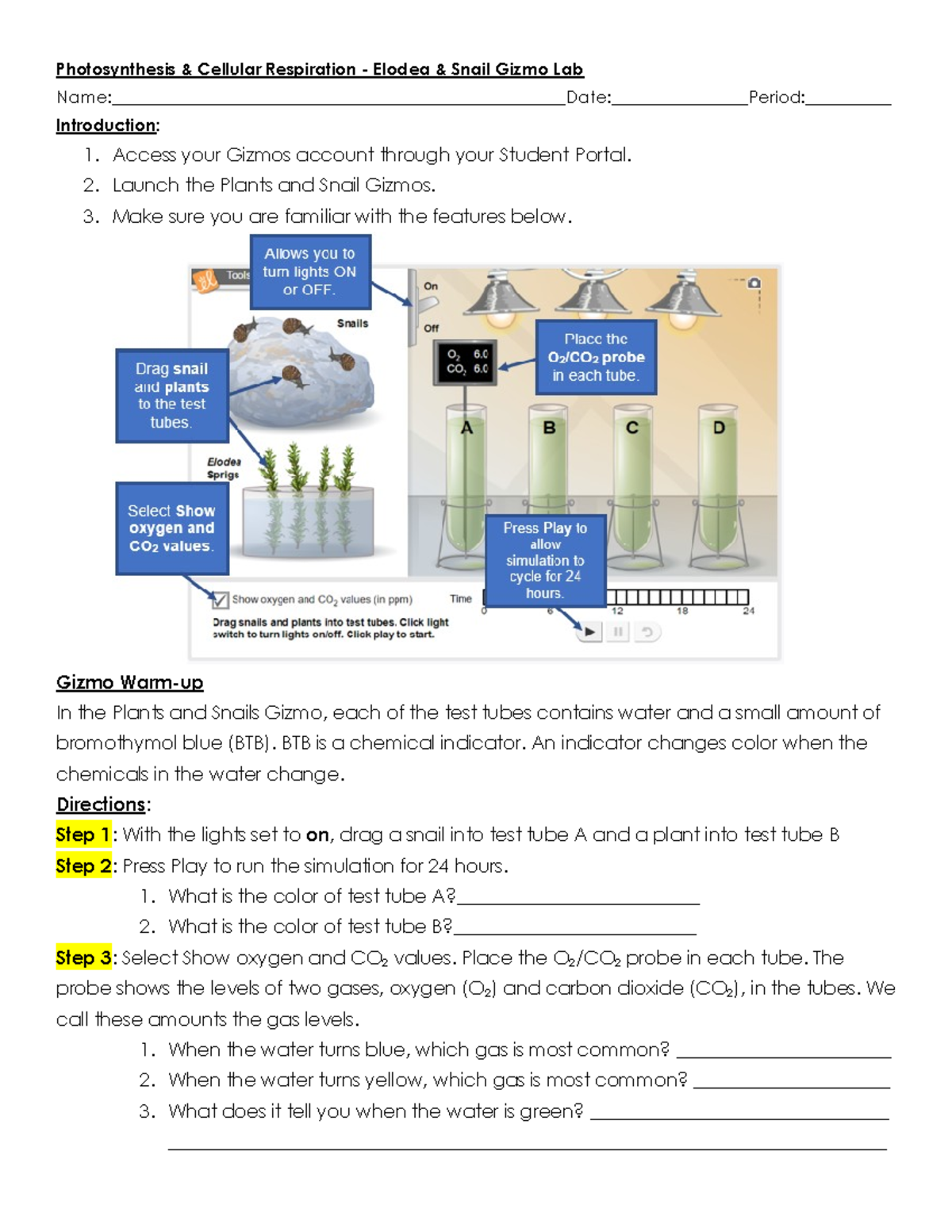 Elodea & Snail Gizmo Lab Student Sheet - Photosynthesis & Respiration ...