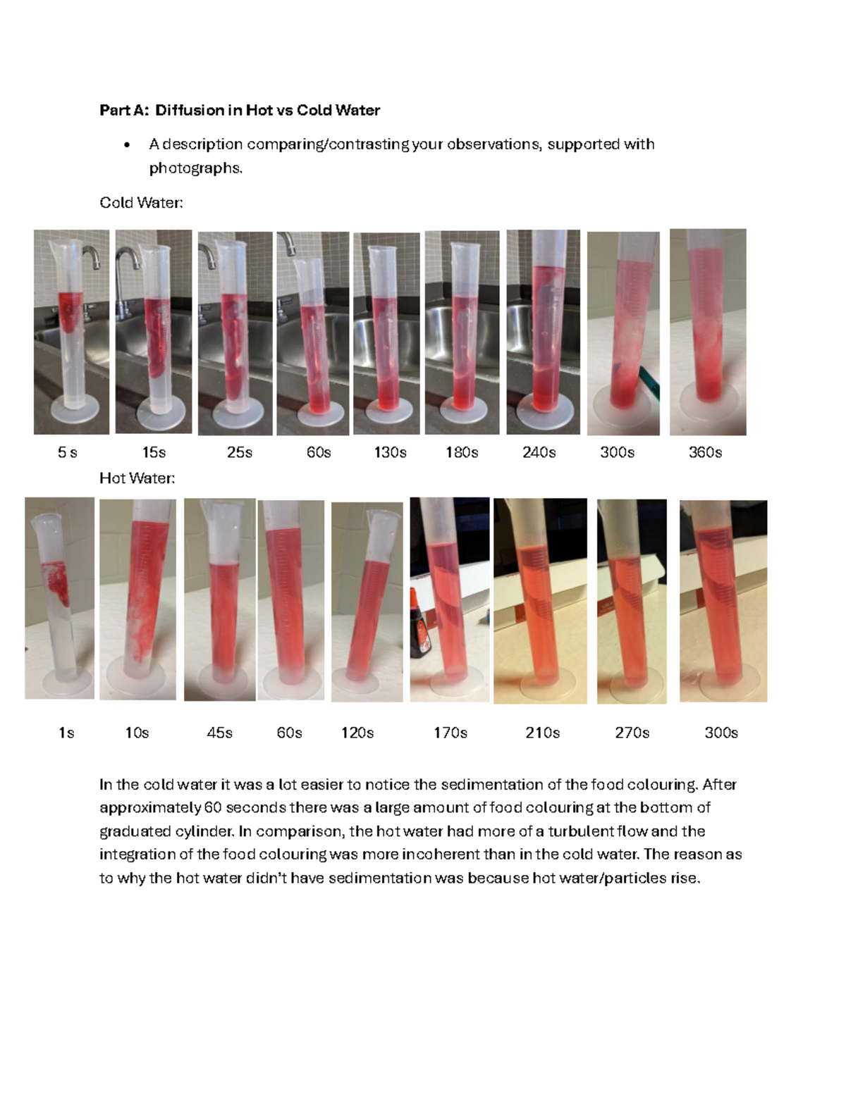 LAB - Diffusion Experiment: Hot vs Cold Water Analysis - Studocu