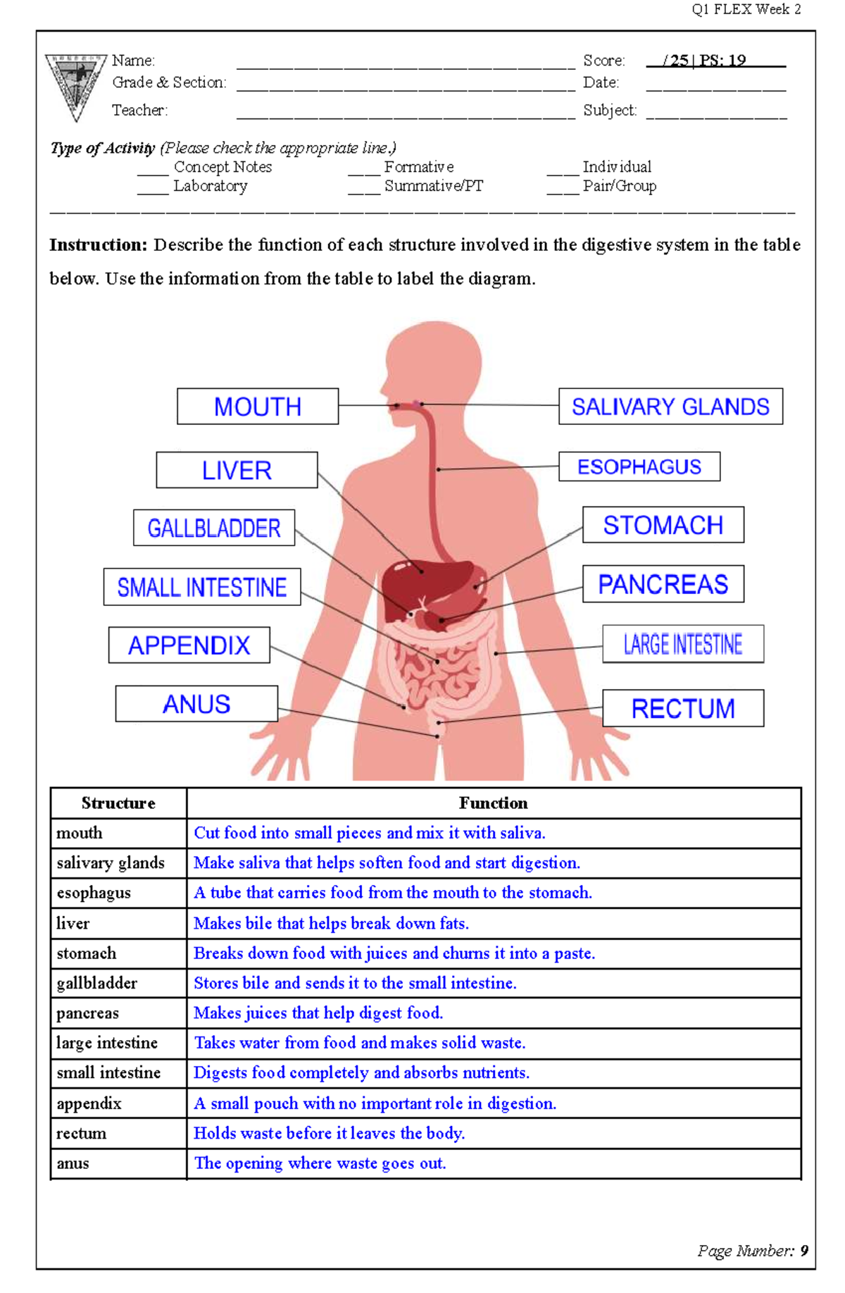 Q1 FLEX Week 2 - Digestive System Structure & Function Answer Key - Studocu