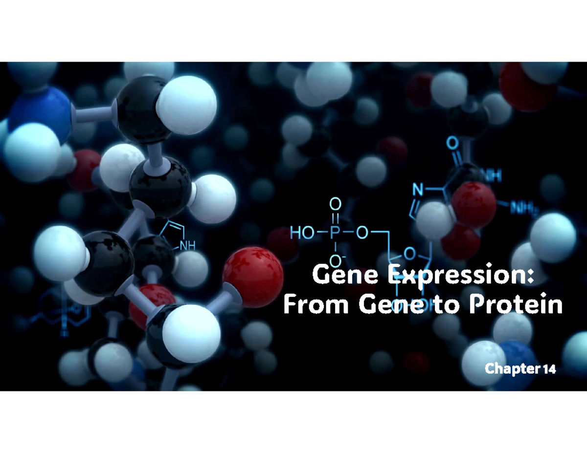 Gene Expression: From Gene to Protein - Chapter 14 - Studocu