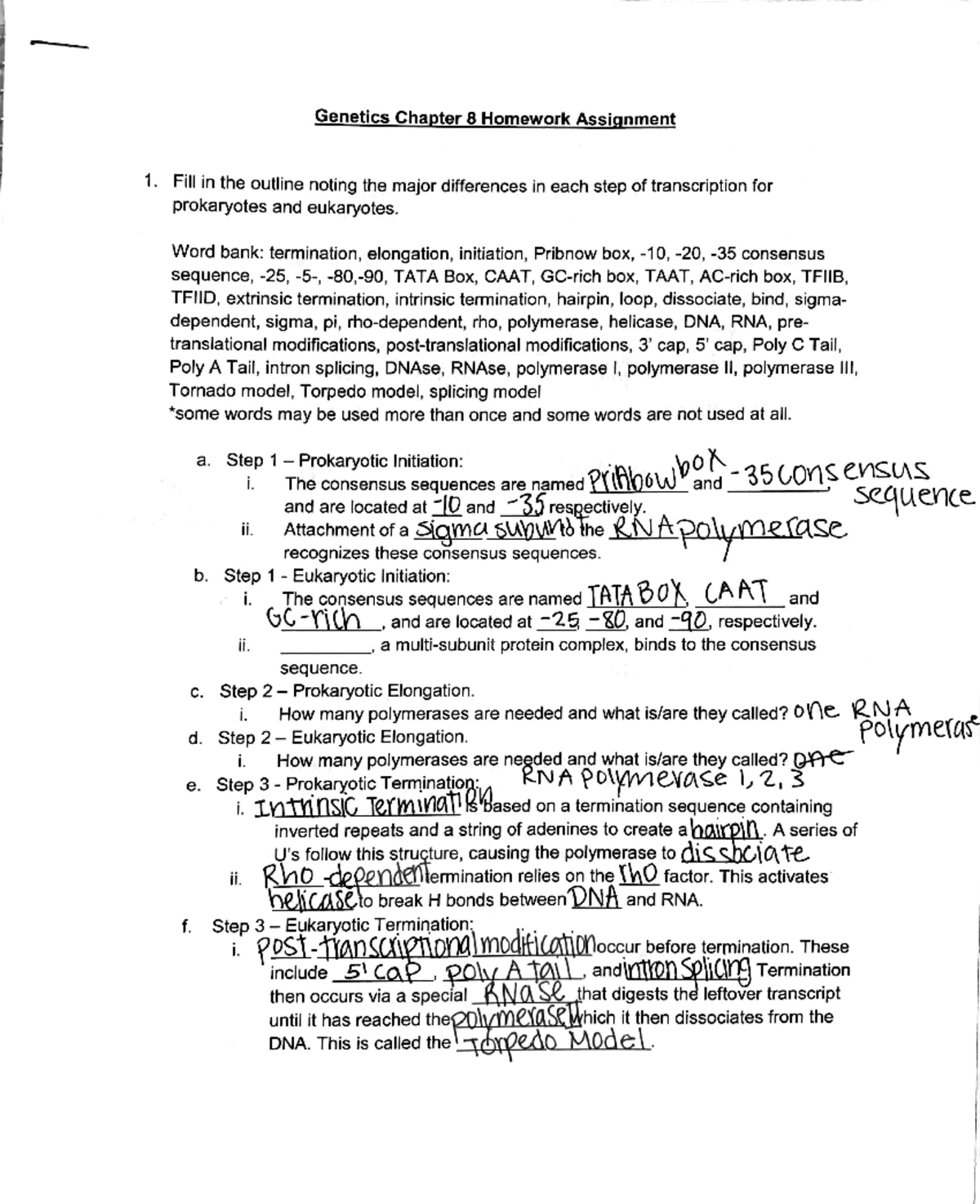 Genetics Chapter 8 Homework Review - BIOL 310 Transcription Steps - Studocu
