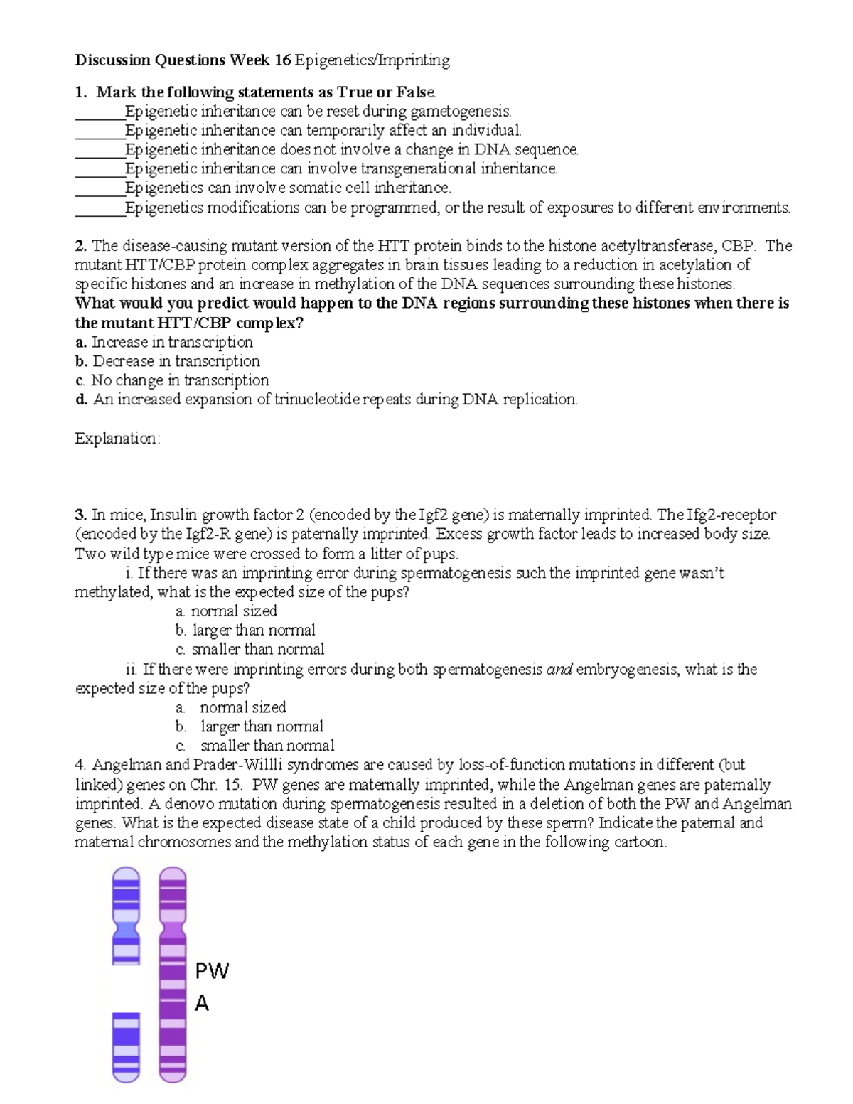 Week 16 Discussion Questions Epigenetics Imprinting - Discussion ...