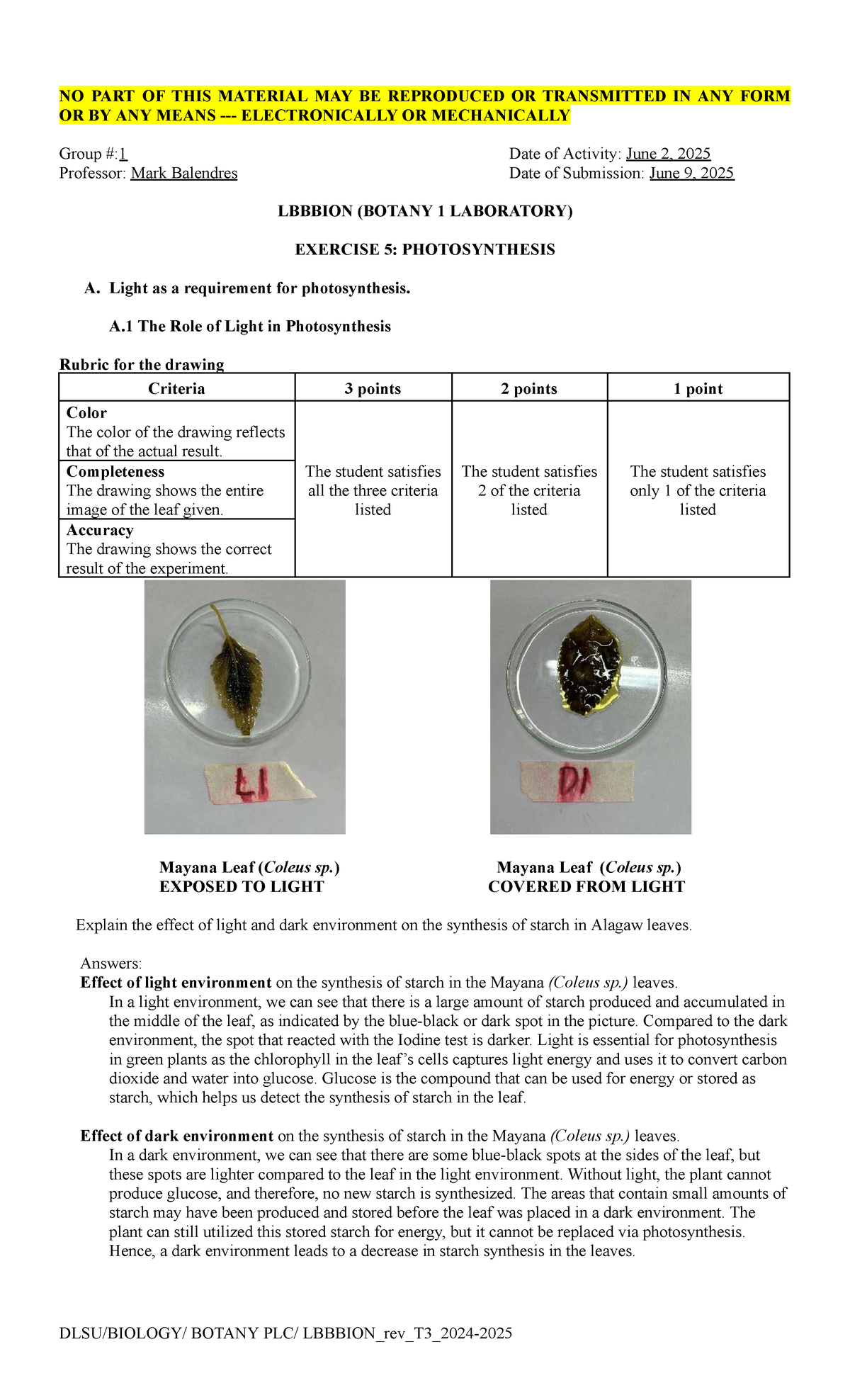 Exercise 5: Photosynthesis Analysis - BOTANY 1 LABORATORY - DLSU - Studocu