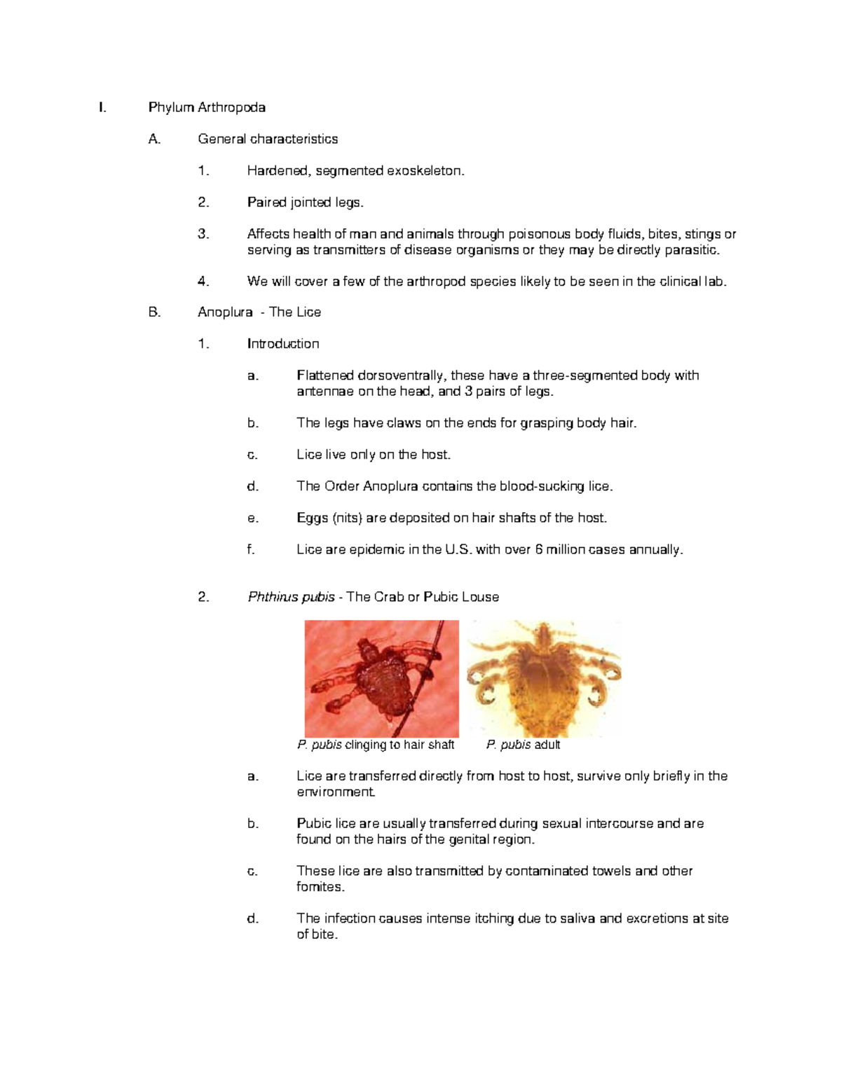 Anthropology in Public Health: Lecture Notes on Arthropods - Studocu