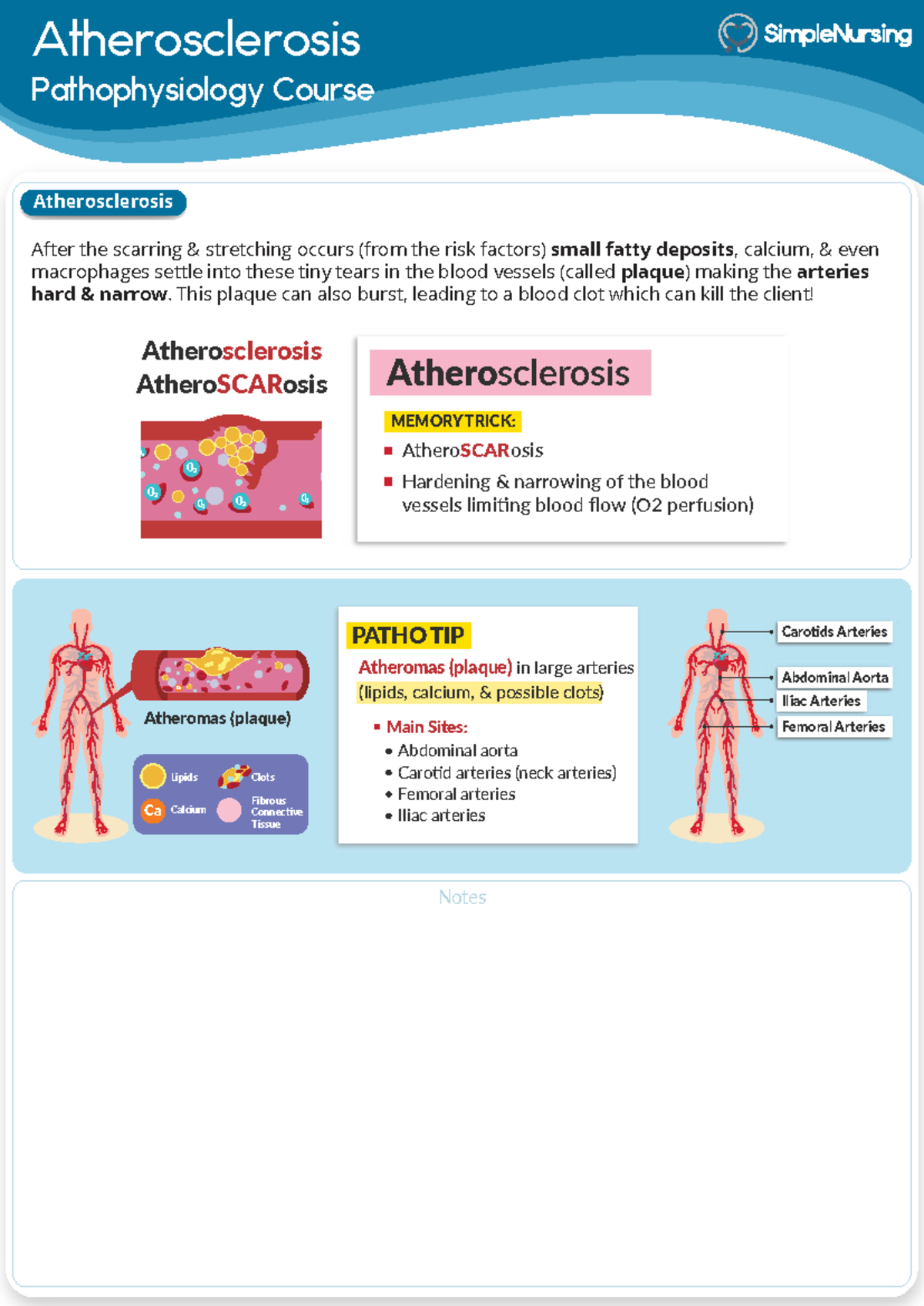 Atherosclerosis Pathophysiology Notes for Nursing Course - Studocu