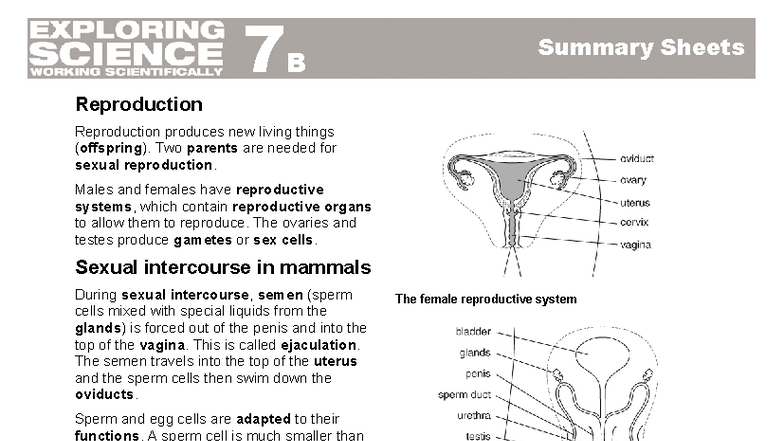 7B Summary Sheets: Reproduction and Pregnancy in Mammals - Studocu