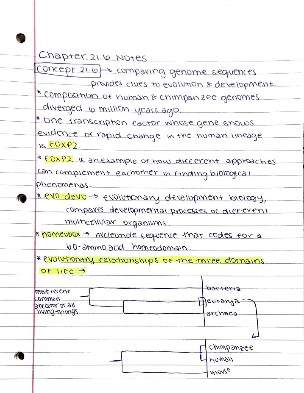 Chapter 21.6 Notes: Genome Sequence Comparison & Evolution Insights ...