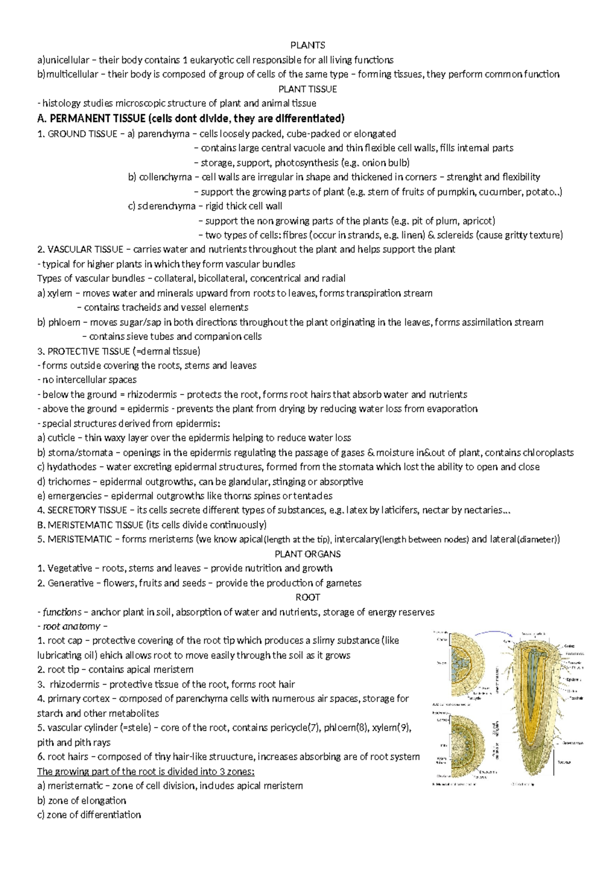 PLANTS (BIO101) - Overview of Plant Structure and Functions - Studocu