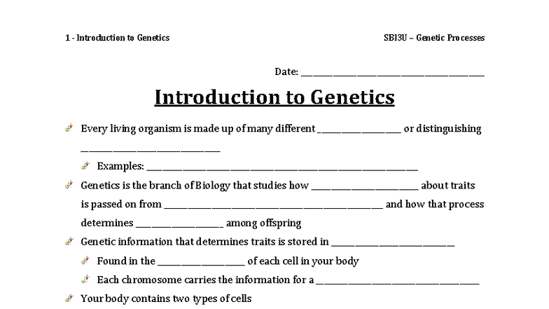 SBI3U Final Exam Notes: Introduction to Genetics Concepts - Studocu