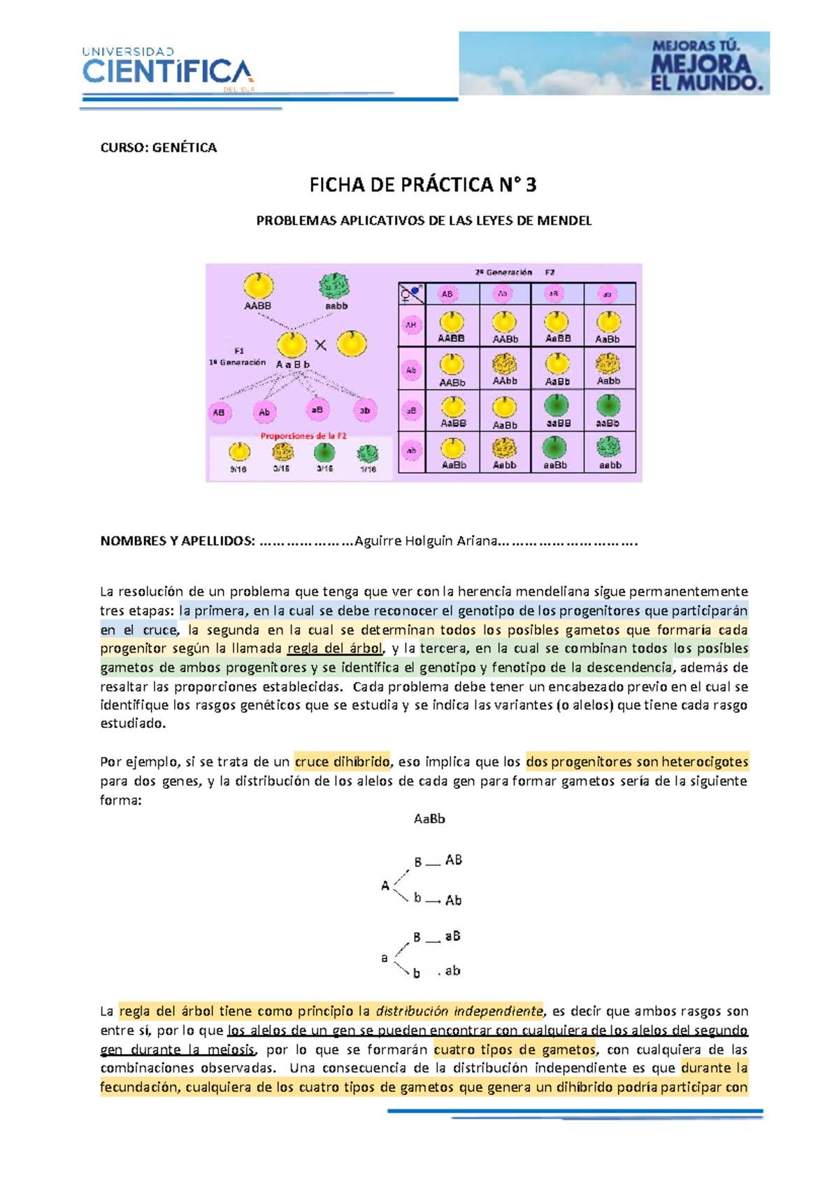 4.- Problemas Sobre Genética Mendeliana - CURSO: GENÉTICA FICHA DE ...