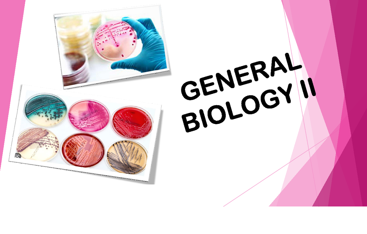 Genetic Engineering Overview and Basic Processes - Final Exam Notes ...