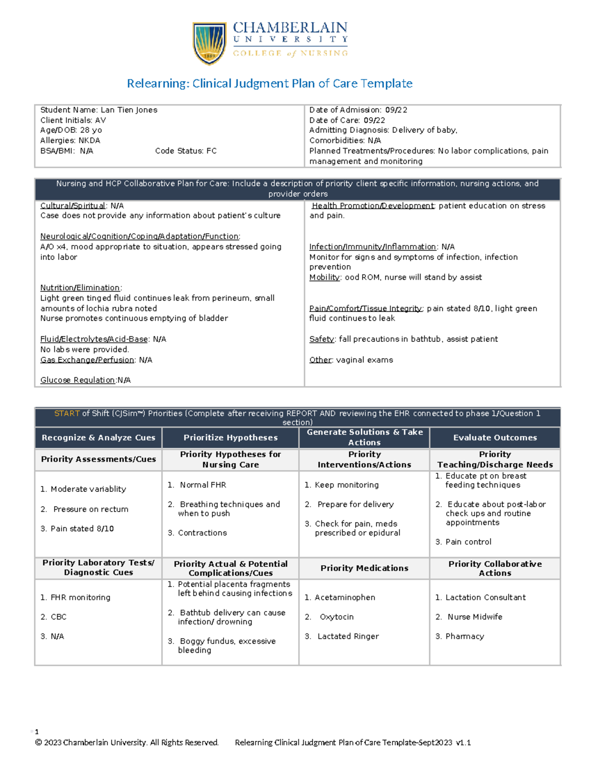 Relearning CJE Plan of Care Template Maternal - Relearning: Clinical ...
