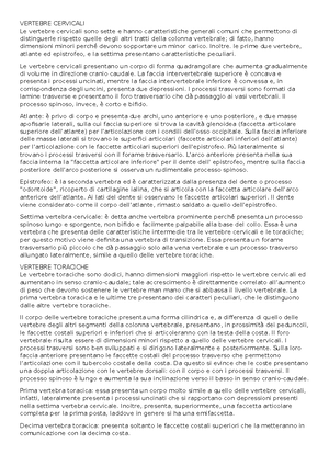 Organi cavi e pieni - ORGANI A livello di organizzazione superiore ...