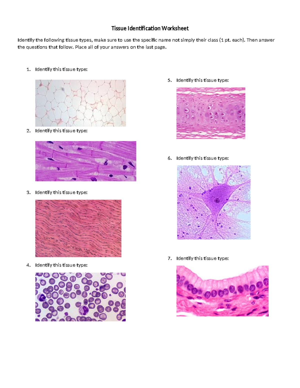 Histology ID: Tissue Identification Worksheet for Class Study - Studocu
