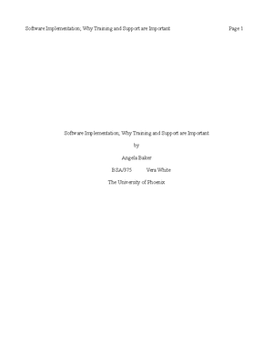 [Solved] Imagine you have been hired as an information systems IS ...