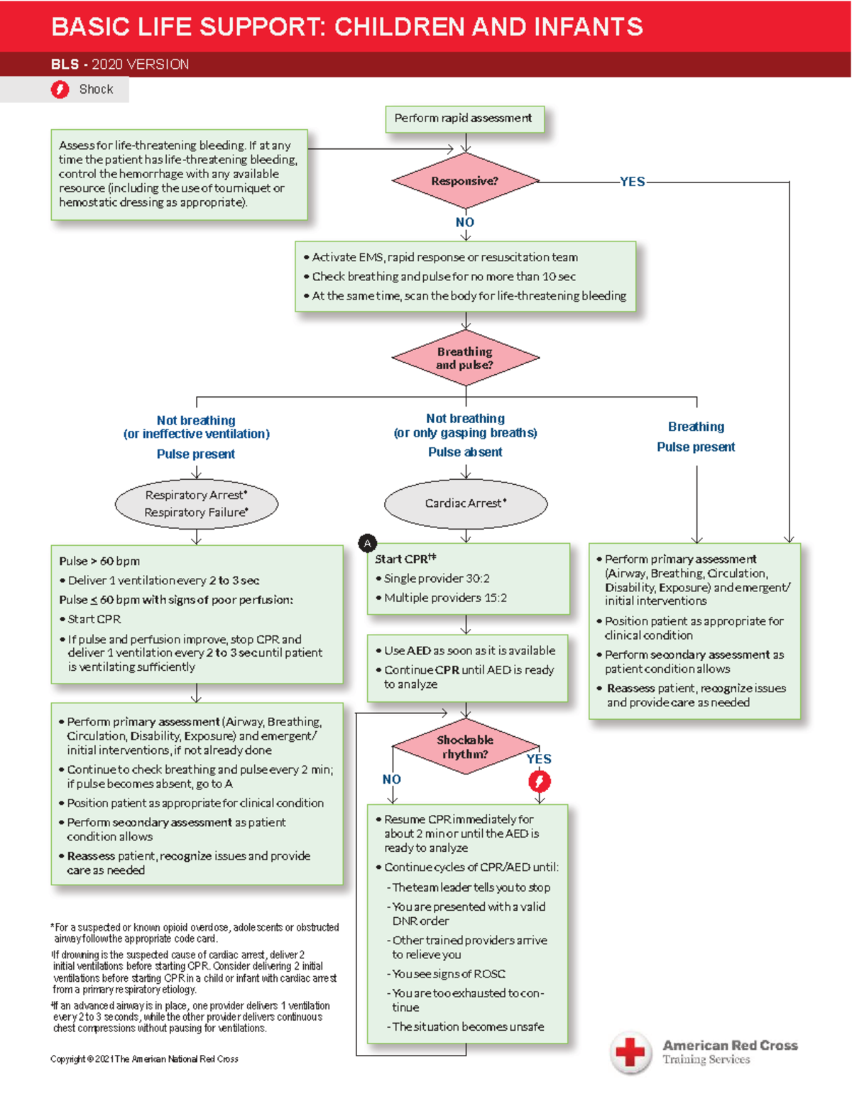 BLS 2020: Basic Life Support for Children & Infants (CC-BLS-PEDS) - Studocu