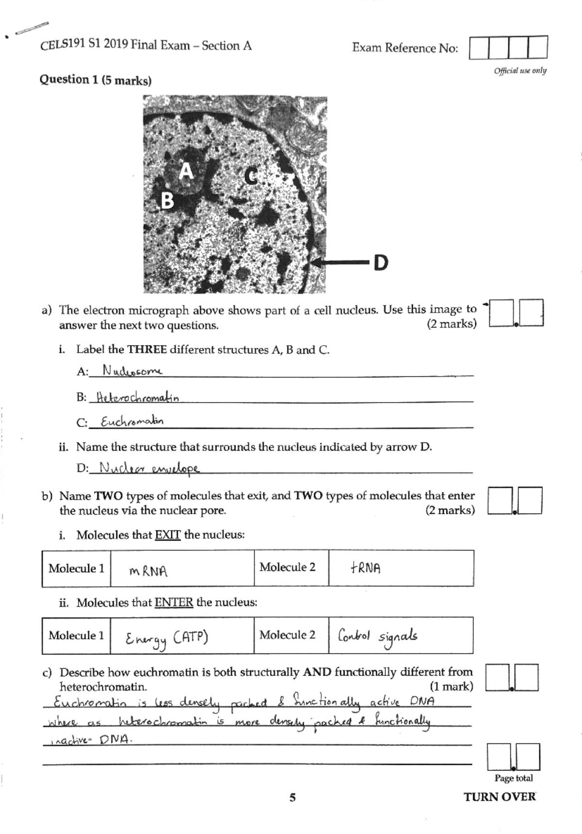 CELS191 2019 Exam - cells exam 2019 - Cellular Biology - Studocu