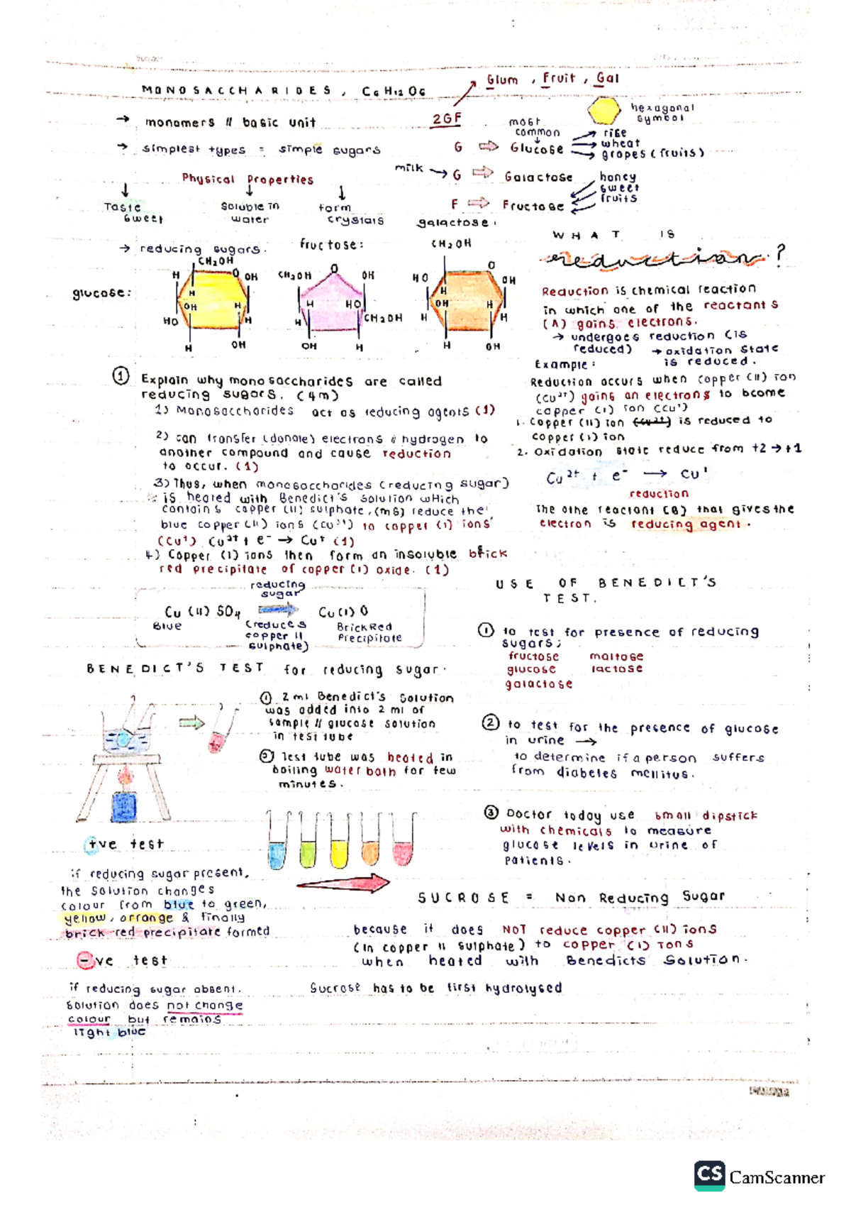 Biology SPm Notes: Key Concepts and Study Guide - Studocu