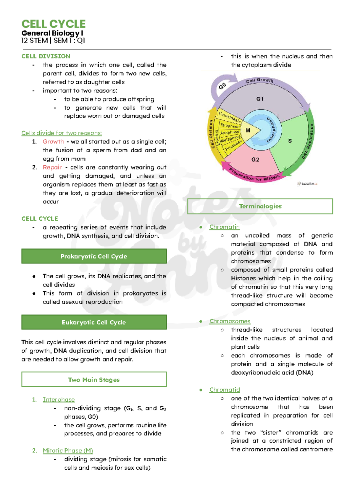 Cell Cycle - LESSON FOR 12 GENERAL BIOLOGY 1 - General Biology I 12 ...