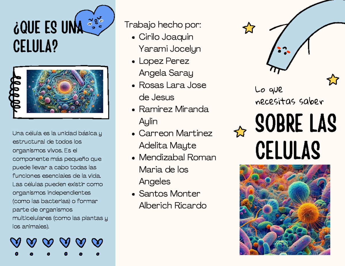 Triptico Celulas - ¿QUE ES UNA CELULA? Una célula es la unidad básica y ...