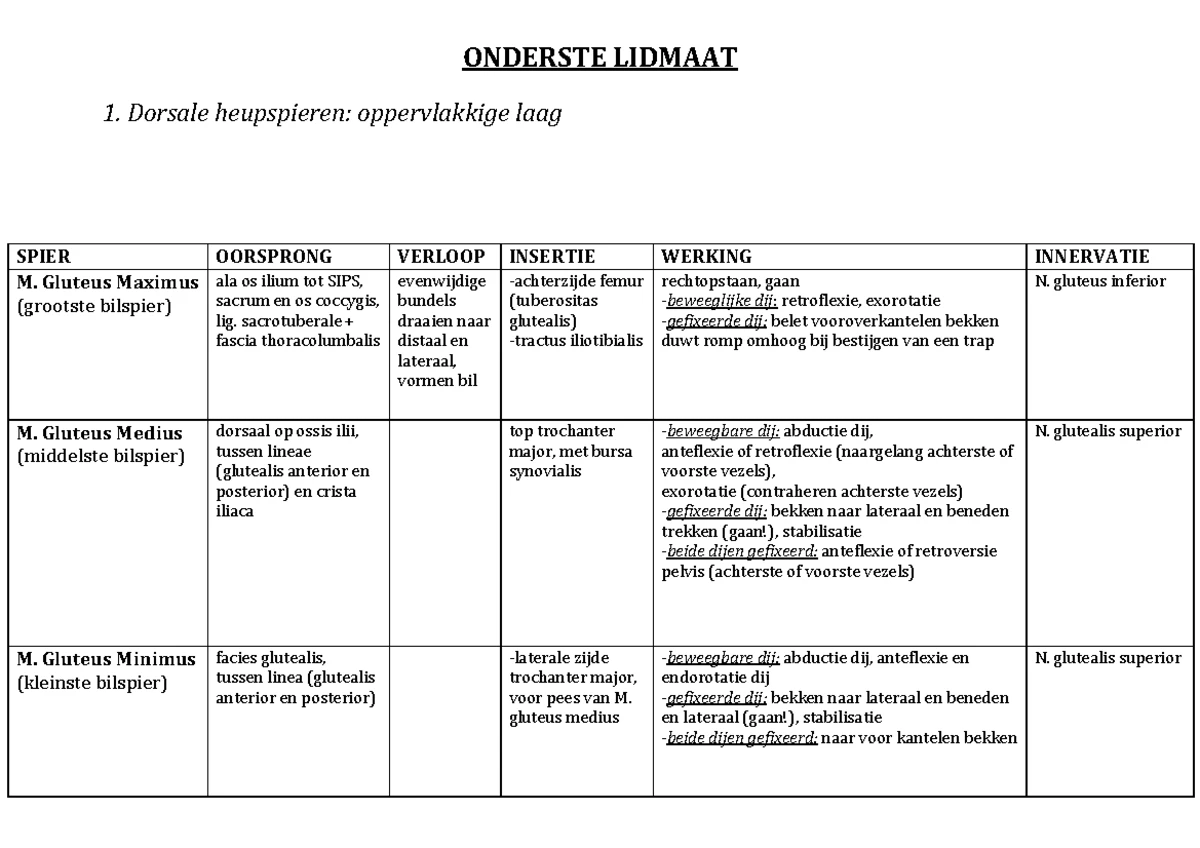 Latijnse woordenlijst - Anatomie: Latijnse woordenlijst Craniaal: naar ...