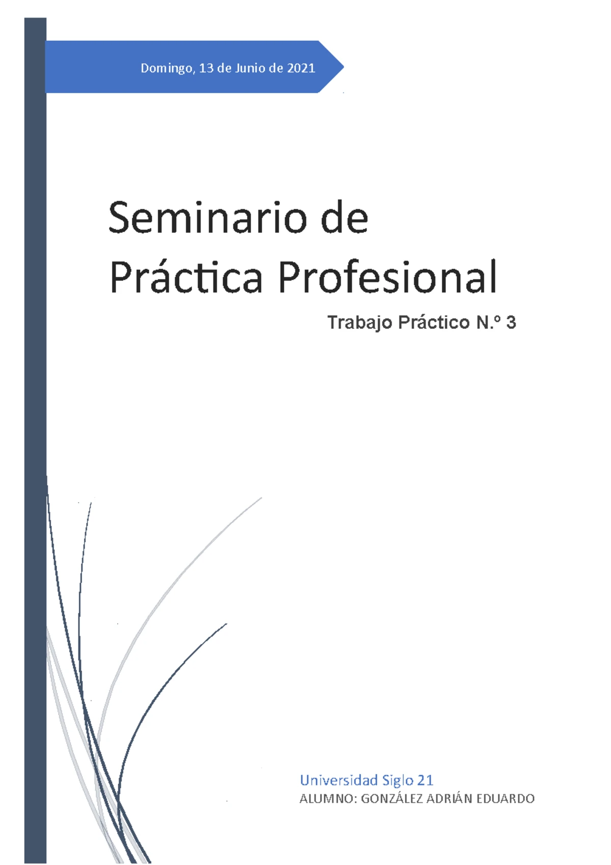 TP N°2 - Seminario de Práctica Profesional - THI010-9776 - Guía de ...