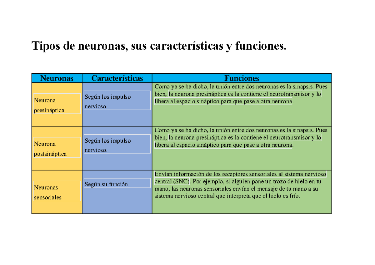 Tipos De Neuronas Y Funciones