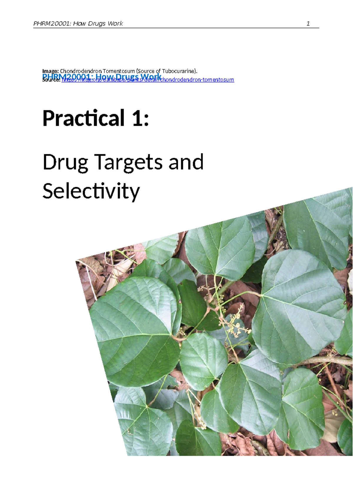 PHRM2000 Practical 1: Drug Targets & Selectivity Student Manual - Studocu