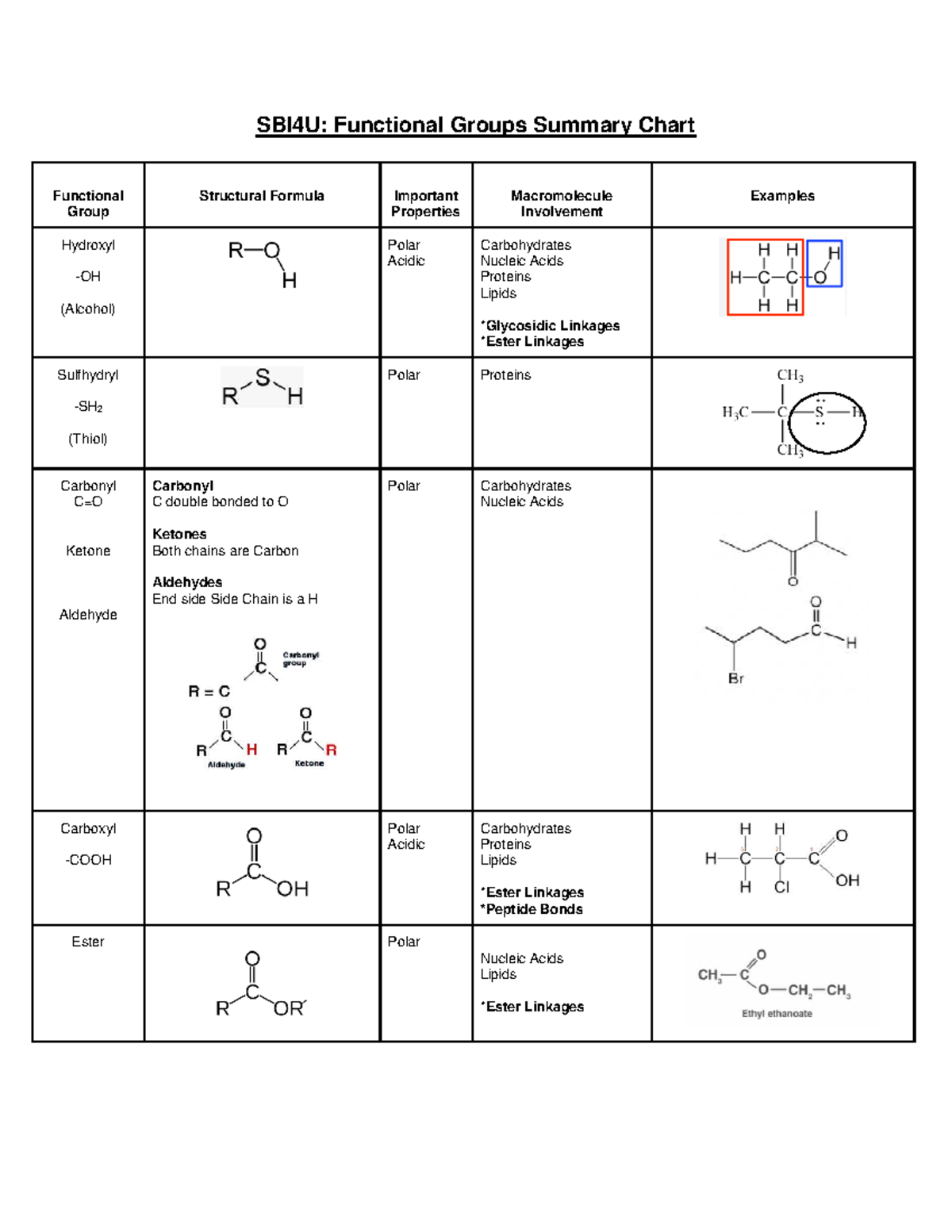 Functional Groups Summary Chart - SBI4U: Functional Groups Summary Chart Functional Group ...