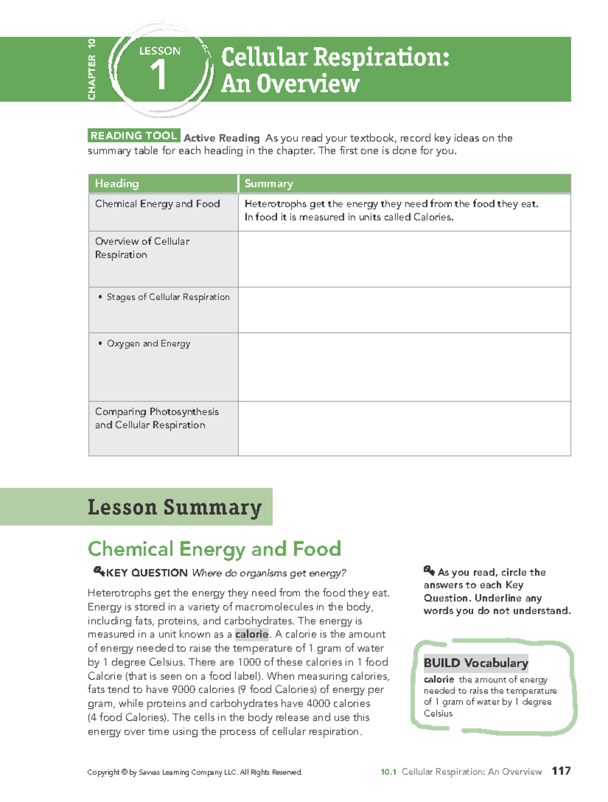 Honors Biology Homework: Chapter 10 - Cellular Respiration Overview ...