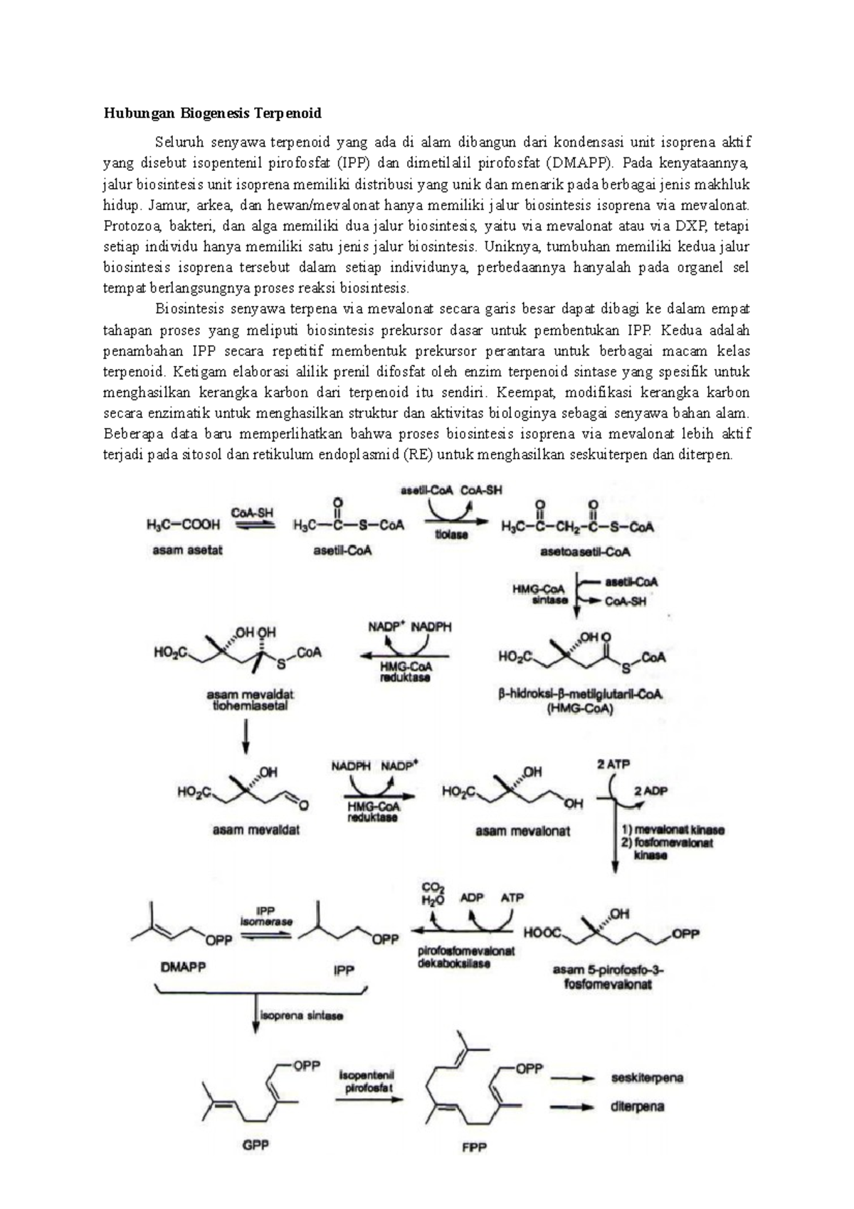Hubungan Biogenesis Terpenoid - Hubungan Biogenesis Terpenoid Seluruh senyawa terpenoid yang ada ...