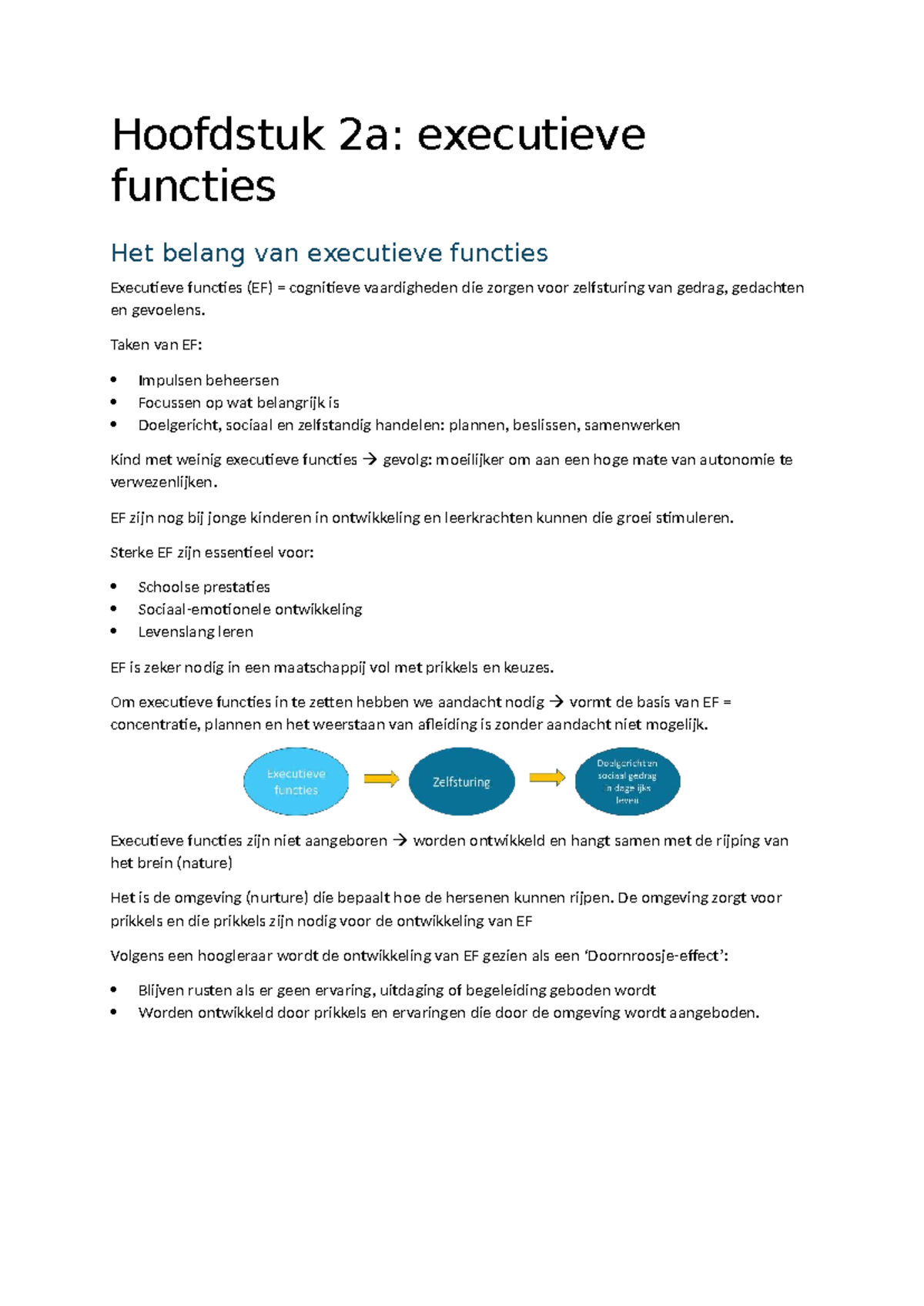 Hoofdstuk 2a: Executieve Functies en Hun Belang in de Ontwikkeling ...
