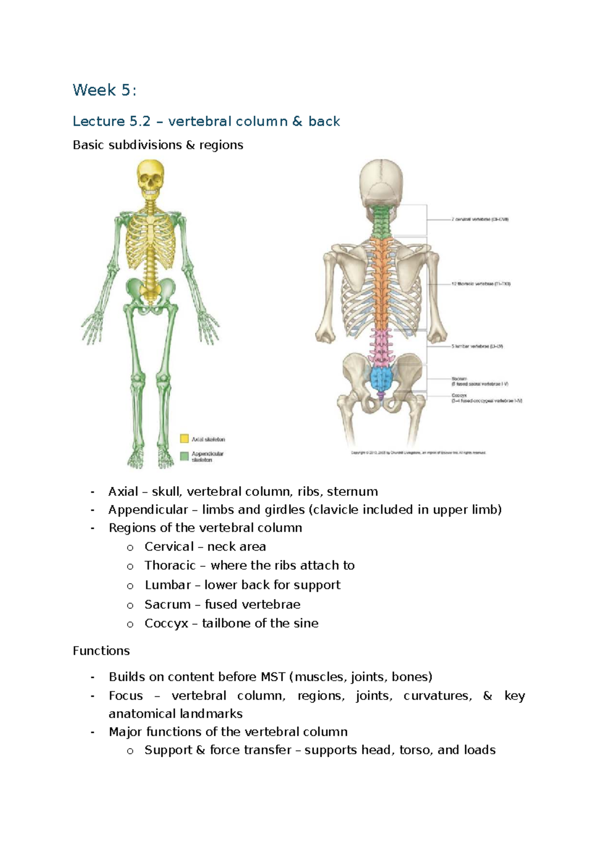 ANAT2000 Week 5-6 Lecture Notes: Vertebral Column & Upper Limb Anatomy ...